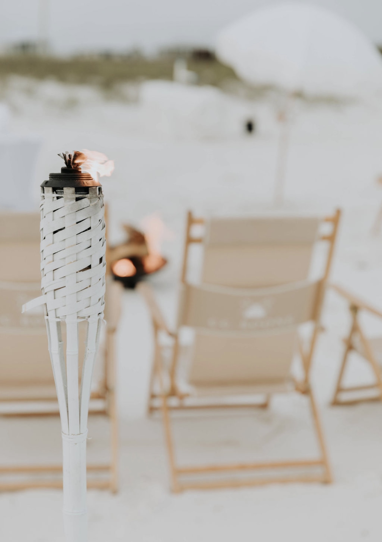 Schedule Appointment with CC,BOONE