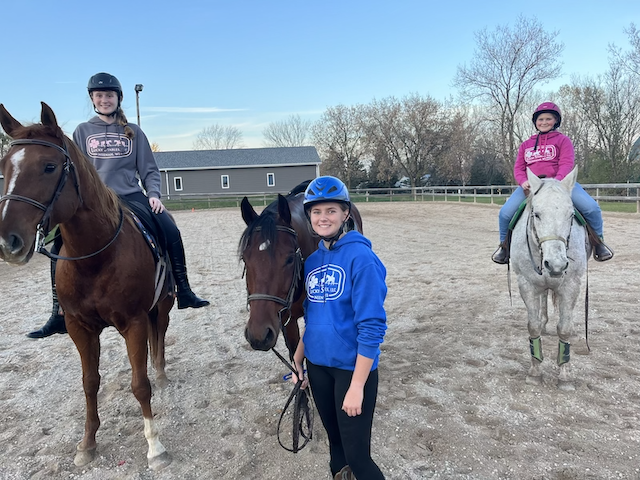 Schedule Appointment with Lucky Stables LLC 🍀