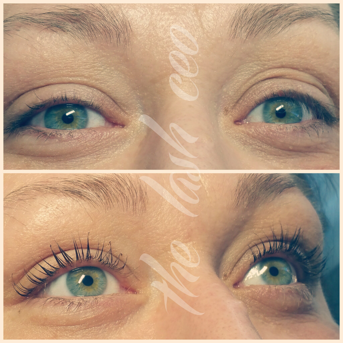 Schedule Appointment with The Lash CEO | a Lash & Brow Studio