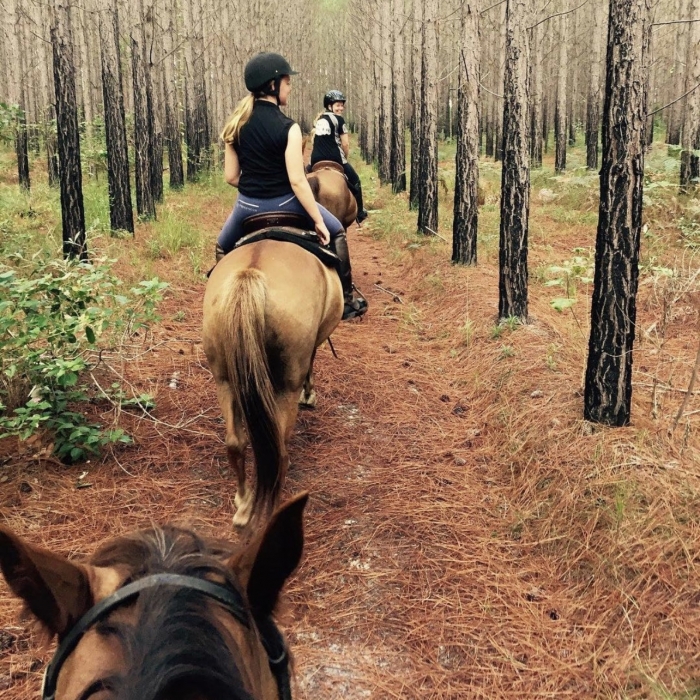 Schedule Appointment with Quarter Mile Ranch