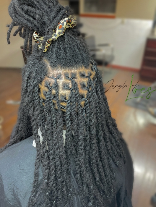 Schedule Appointment with Jungle of Locs