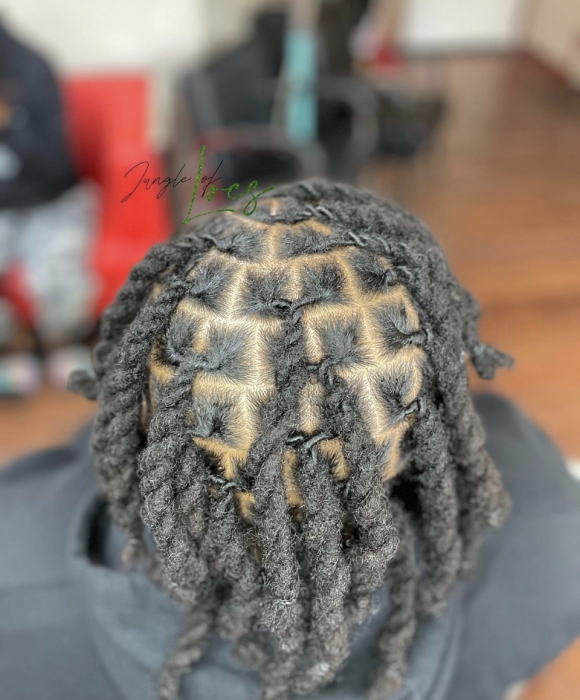 Schedule Appointment with Jungle of Locs