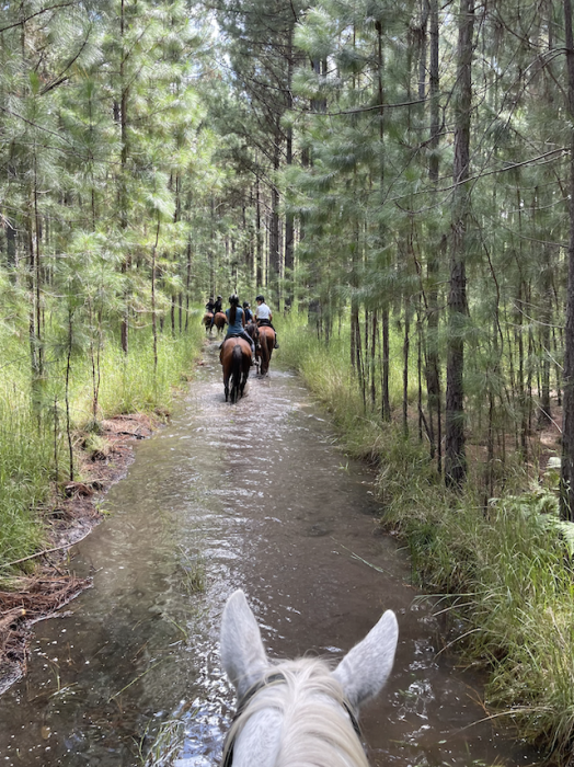 Schedule Appointment with Quarter Mile Ranch