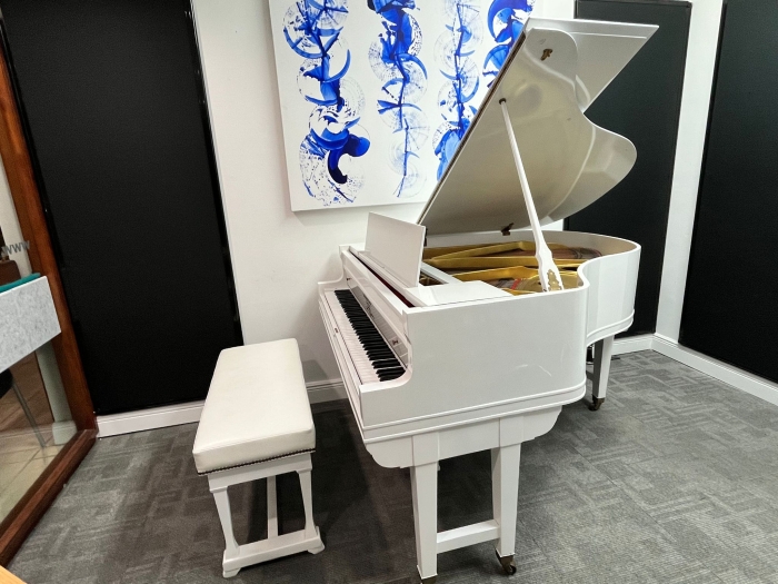 Schedule Appointment with Forte Music & Arts Academy