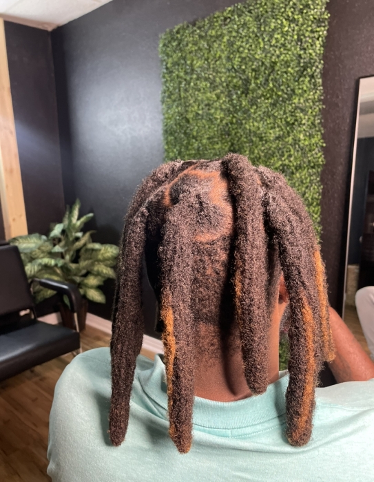 Schedule Appointment with Jungle of Locs