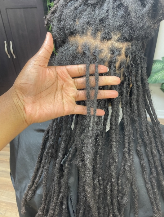 Schedule Appointment with Jungle of Locs
