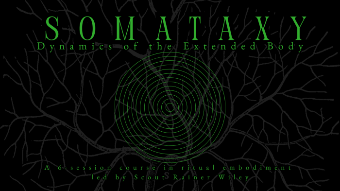 Schedule Appointment with Hyperphantasia Ritual Arts