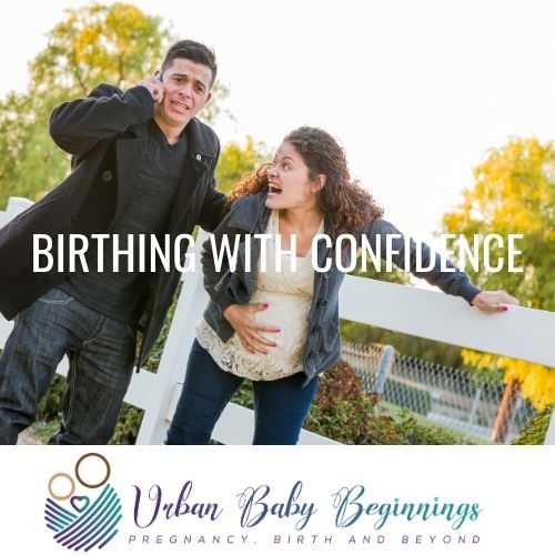 Schedule Appointment with Urban Baby Beginnings