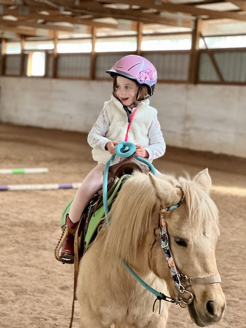 Schedule Appointment with Lucky Stables LLC 🍀