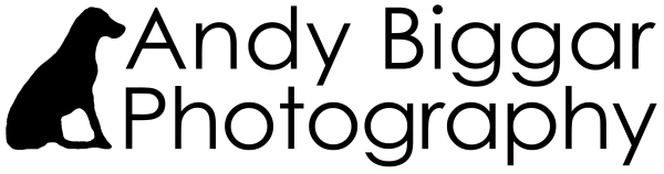 Schedule Appointment with Andy Biggar Photography Ltd
