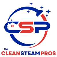 Schedule Appointment with The Clean Steam Pros
