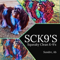 Schedule Appointment with Squeaky Clean K-9's