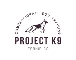 Schedule Appointment with Project K9 Dog Training
