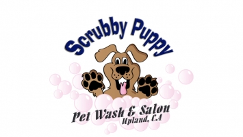 Schedule Appointment with Scrubby Puppy Inc.