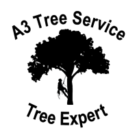 Schedule Appointment with A3 Tree Service