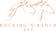 Schedule Appointment with Rocking N Ranch Horsemanship