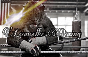 Schedule Appointment with Leoncello Boxing