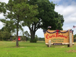Schedule Appointment with Cross Timbers Christmas Tree Farm
