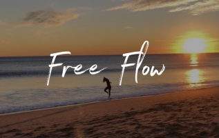 Schedule Appointment with ~ Free Flow