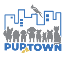 Schedule Appointment with PupTown Waterloo