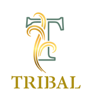 Schedule Appointment with Tribal UK