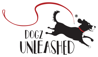 Schedule Appointment with Dogz Unleashed