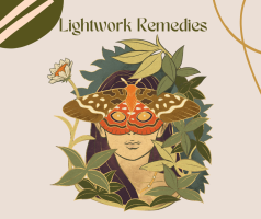 Schedule Appointment with Lightwork Remedies