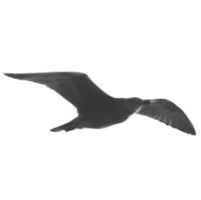 Schedule Appointment with David Cooper