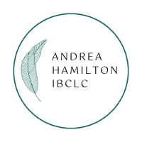Schedule Appointment with Andrea Hamilton IBCLC