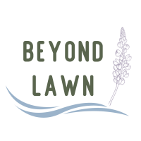 Schedule Appointment with Beyond Lawn