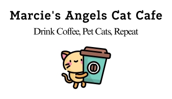 Schedule Appointment with Marcie's Angels Cat Cafe