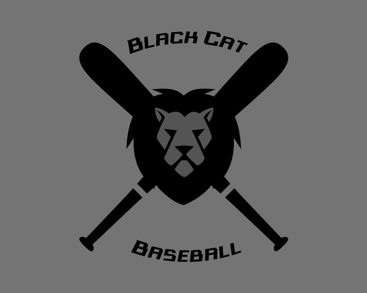 Schedule Appointment with Black Cat Baseball Academy