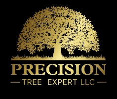 Schedule Appointment with Precision Tree Expert
