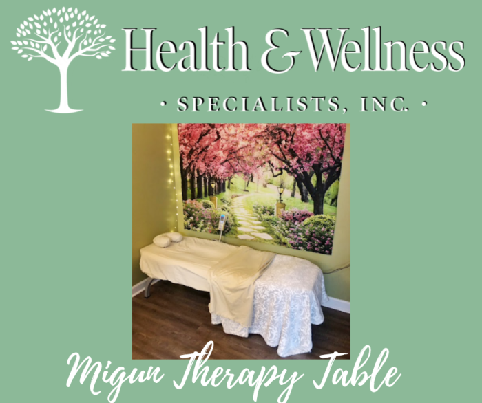 Schedule Appointment with Health and Wellness Specialists, Inc.