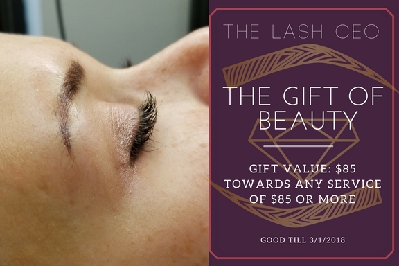 Schedule Appointment with The Lash CEO | a Lash & Brow Studio
